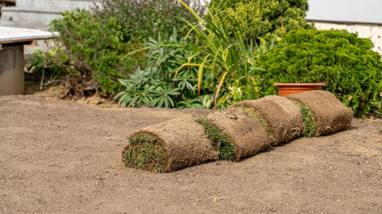 Important Soil Preparation Steps You Shouldn't Skip Before Installing Sod