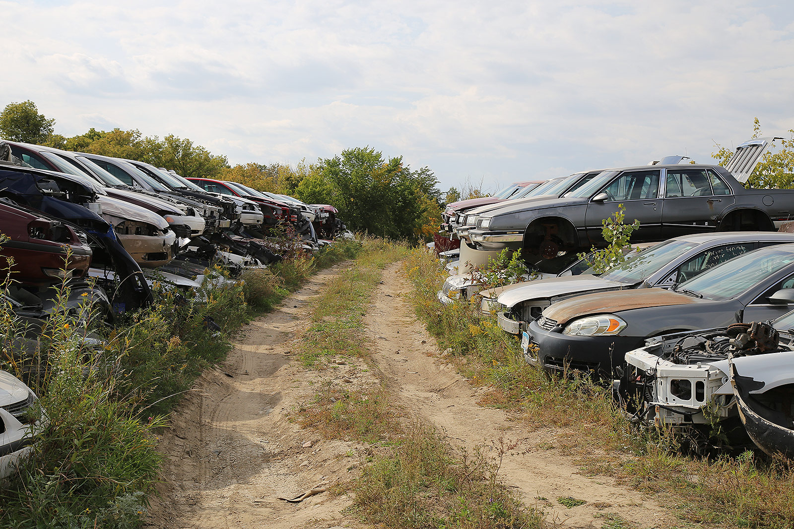 More Junkyard Discoveries from Rohner’s Auto Parts in Willmar, Minnesota