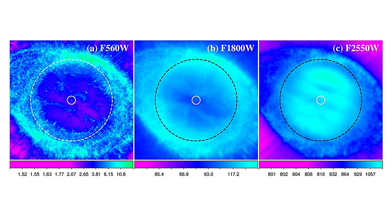 JWST observations detect dusty disk around the central star of Ring Nebula