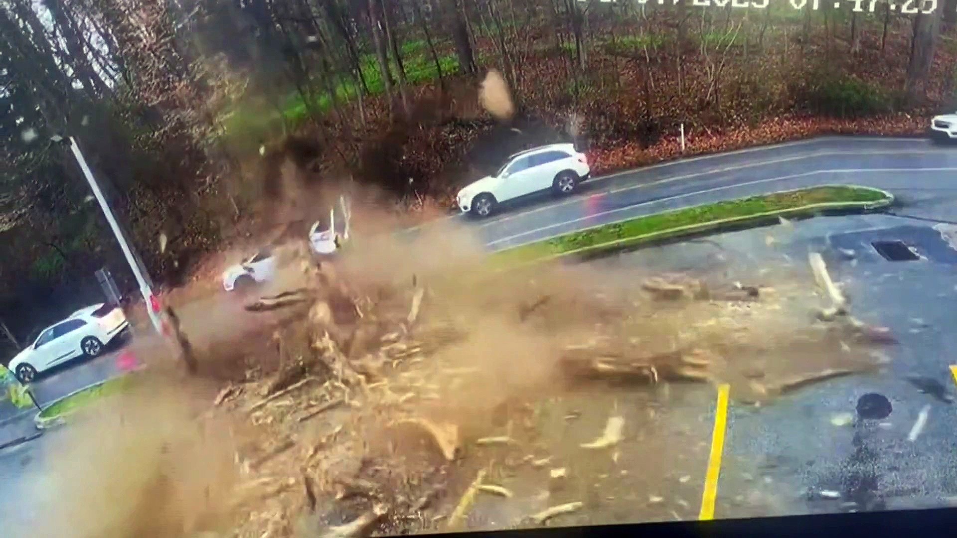 Video shows moment tree crashes down on car in Pennsylvania