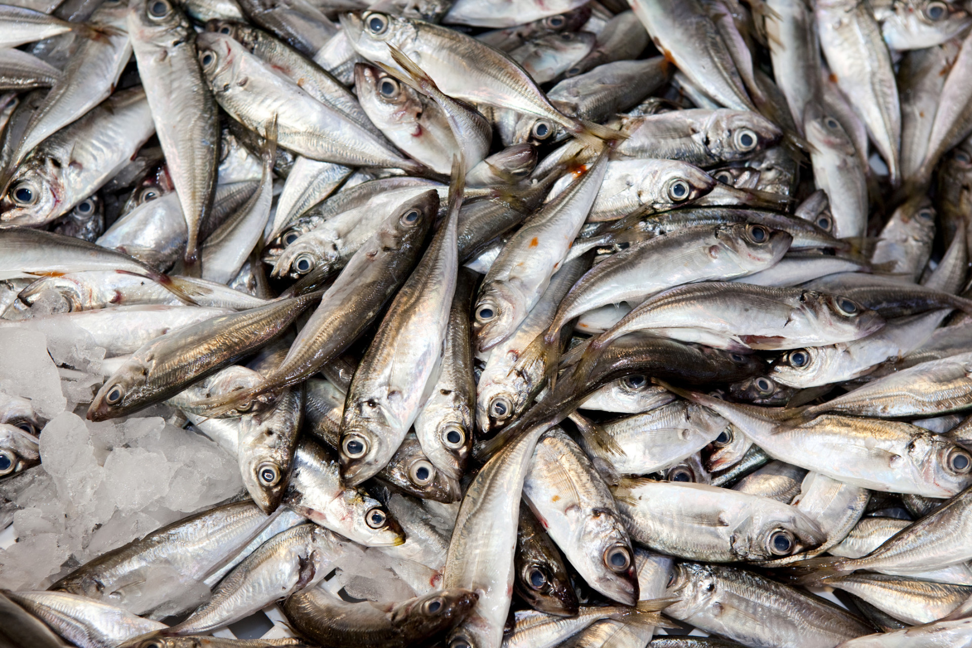 These foods help fight stress, anxiety, and depression