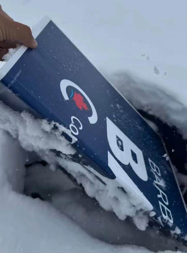 Conservative candidate for Nepean says hundreds of election signs missing