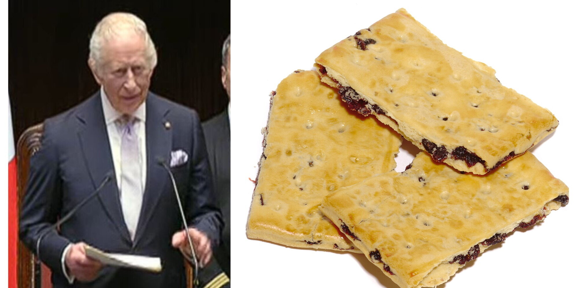 Re Carlo, come sono i biscotti Garibaldi citati in Parlamento