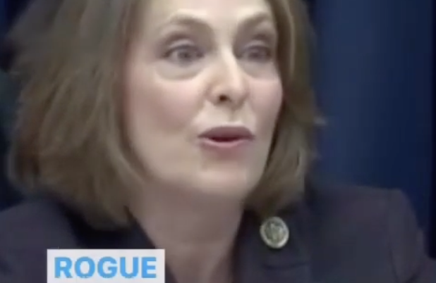 Kathy Castor: "A Rogue President and a Weak Congress Are Failing America"