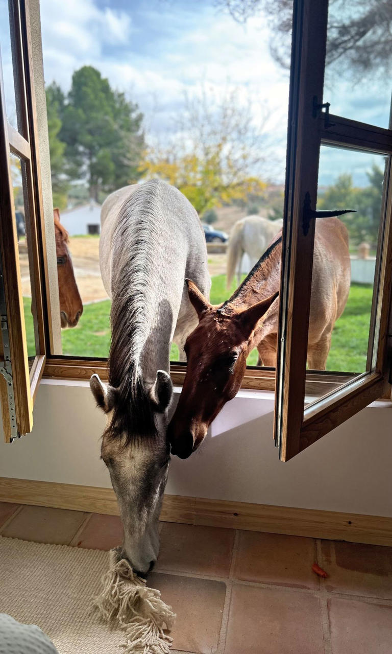 Living como... Alejandra de Rojas