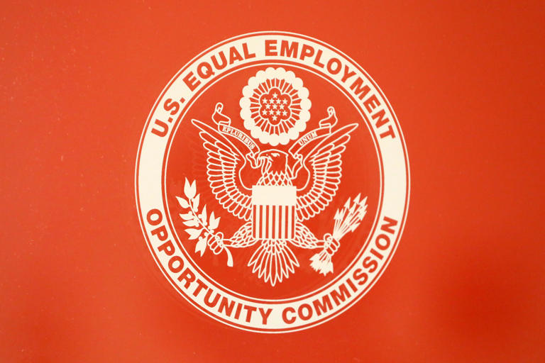 Democrat sues Trump after being removed from Equal Employment ...