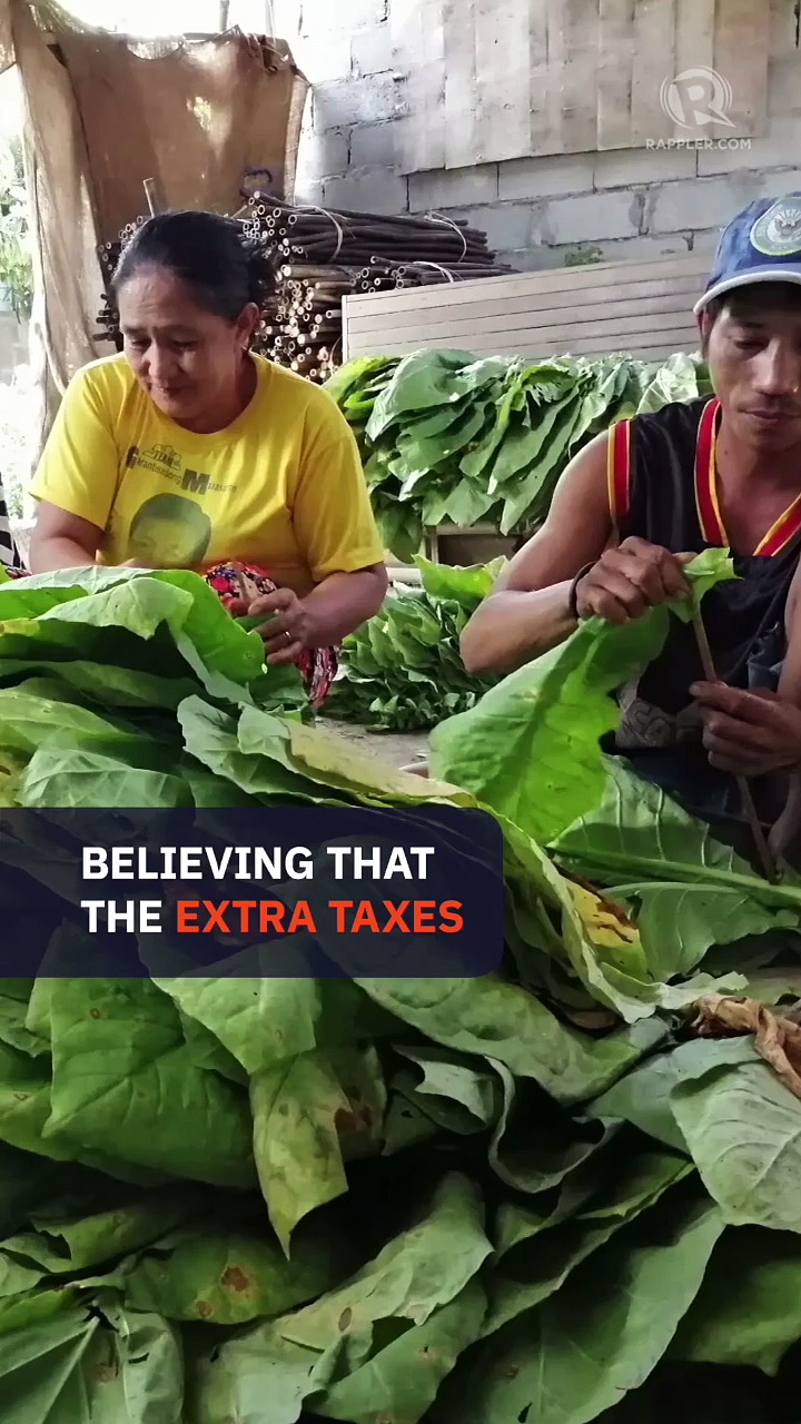 Imee Marcos, Bong Revilla are ‘hazardous to the nation’s health,’ says ...