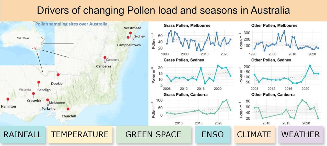 Climate change causes longer pollen seasons in capital cities