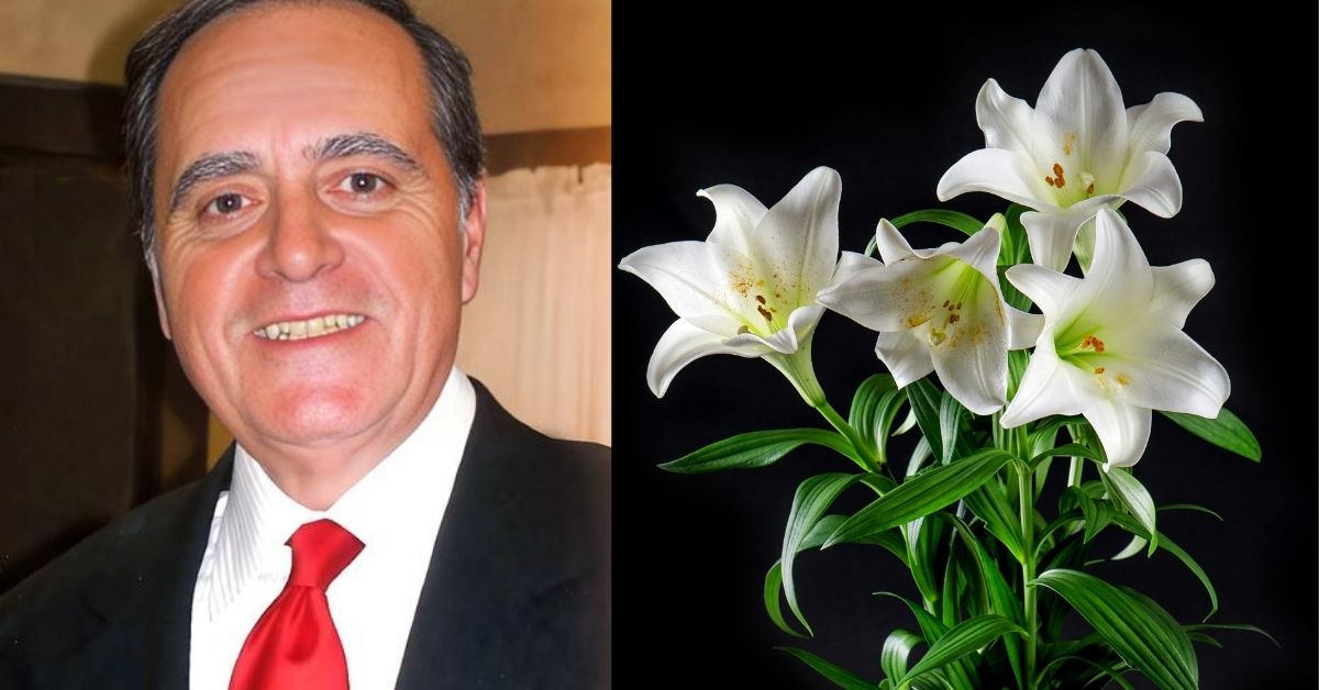 Joseph Romano, 84, devoted family man and Roma Lodge member, dies