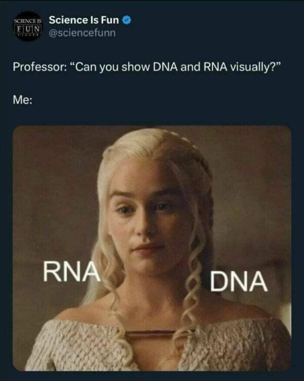 40 Peer-Reviewed Funny Science Memes That Deserve A Nobel Prize In ...