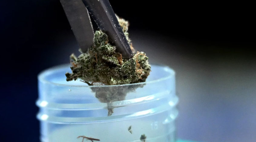 CT creates new office to regulate medical and recreational marijuana