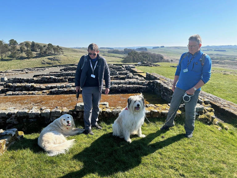 Dogs ‘lead’ recruitment drive for Hadrian’s Wall volunteers