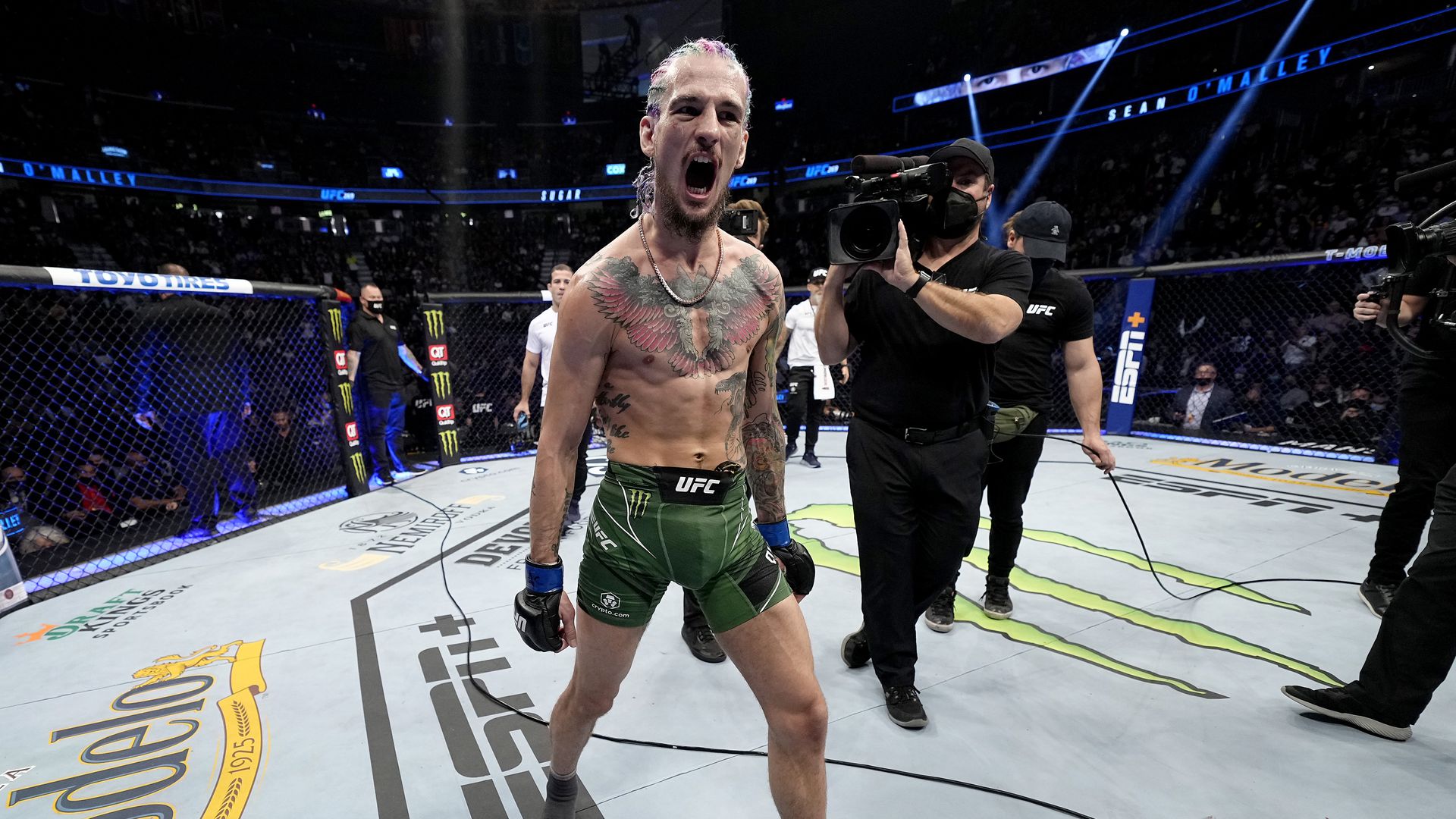 Still Mad About UFC 316? Don’t Watch It!