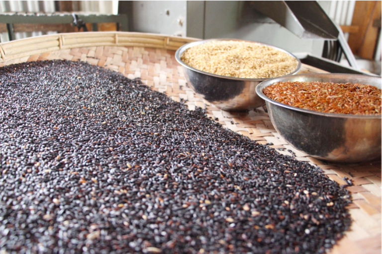 Heirloom rice varieties to be decoded