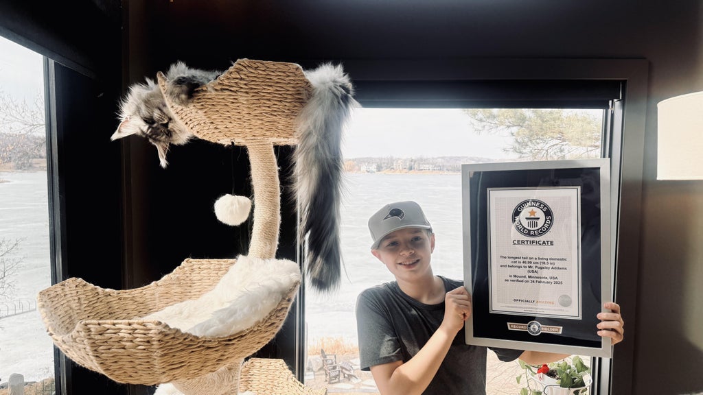 Minnesota cat earns Guinness World Record for longest tail