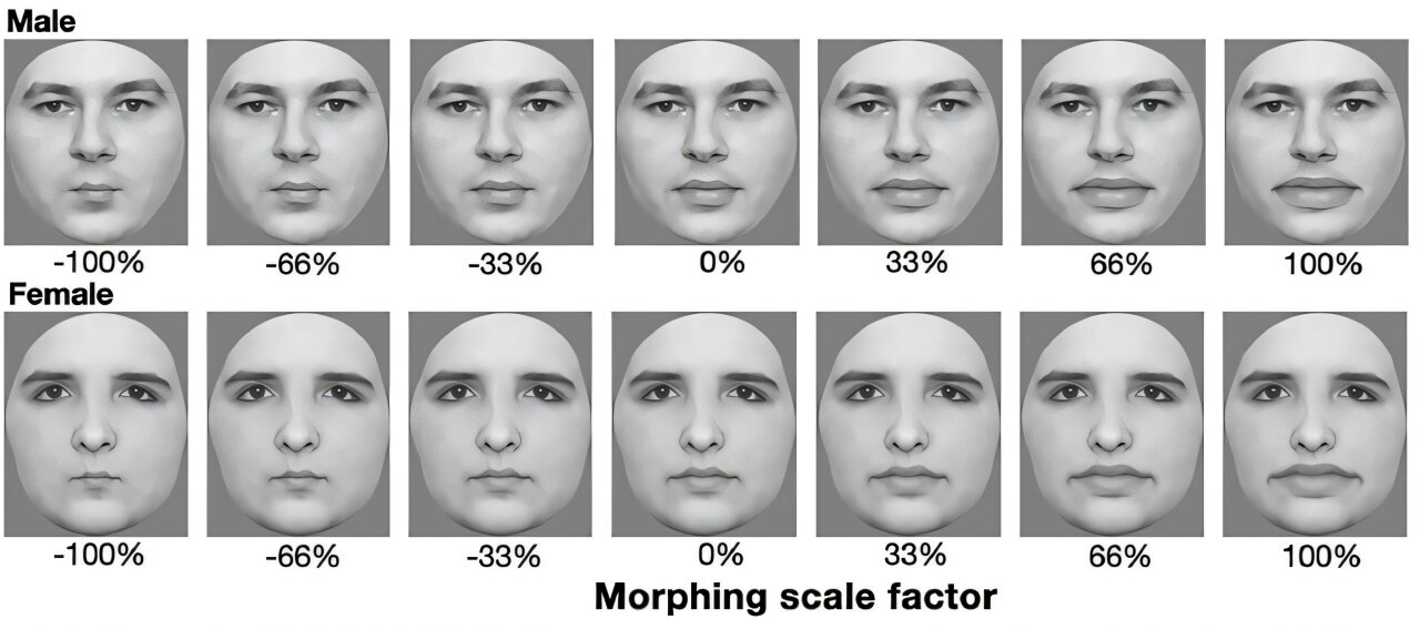 Study reveals gender differences in preference for lip size