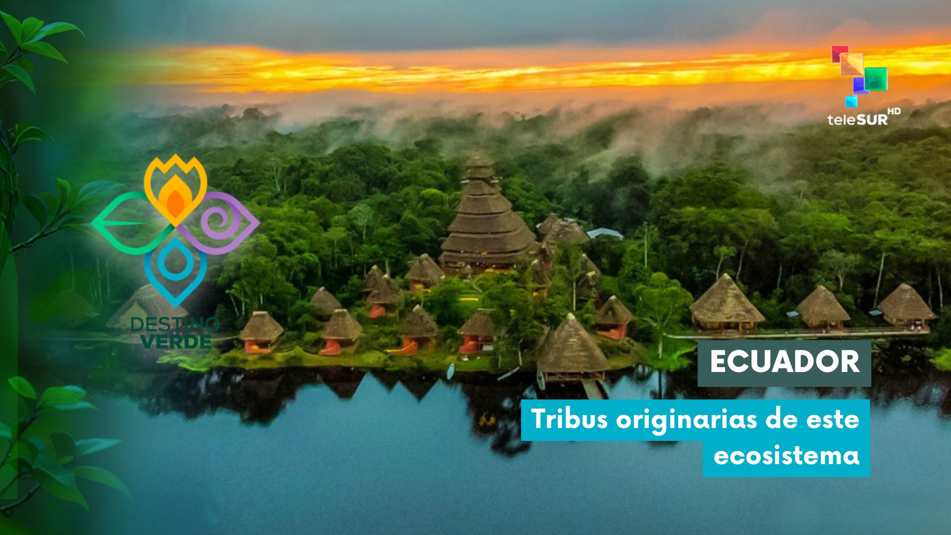 Parque Nacional Yasuní de Ecuador