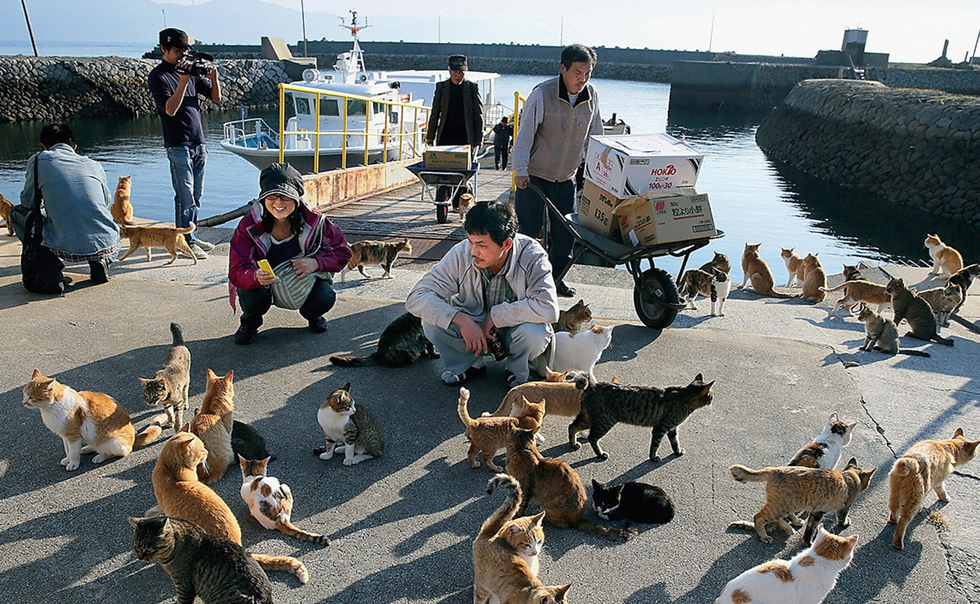 Von skurril bis spektakulär: Die bizarrsten Reisemomente rund um den Globus