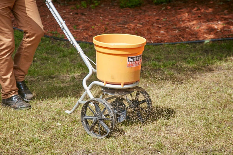 The Best Way to Plant Grass Seed for a Lush Lawn