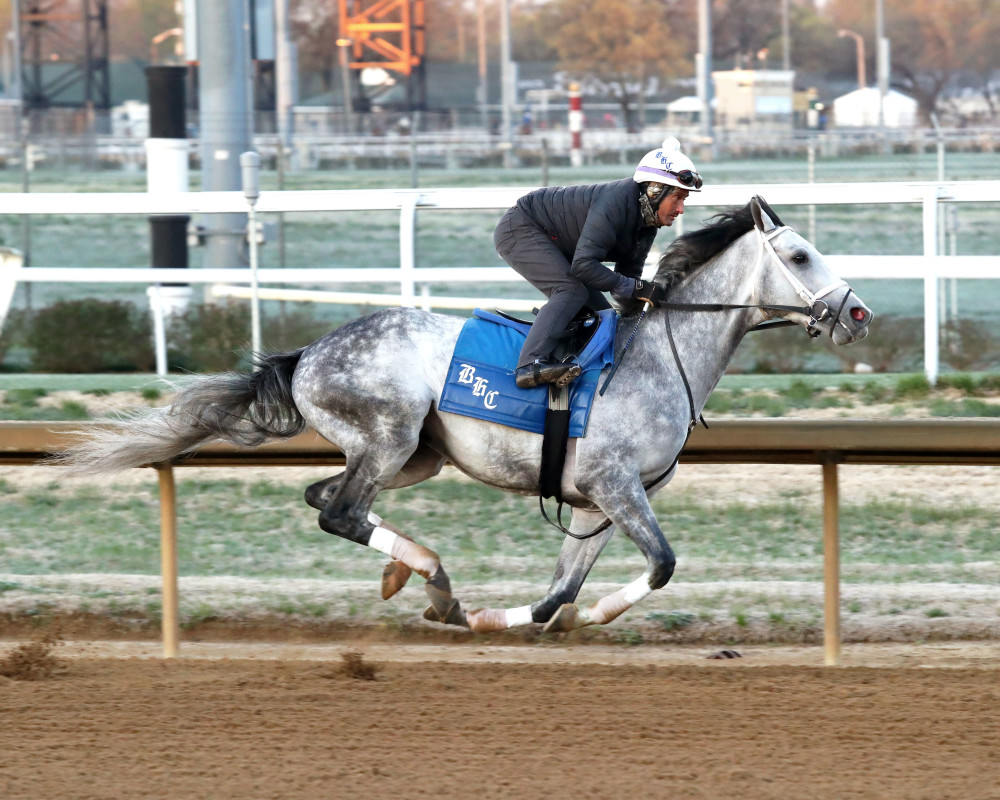 Final Gambit Gets 'Another Opportunity On Dirt' In Matt Winn