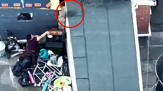 Police drone captures moment dealer lobs bag of drugs over fence during ...