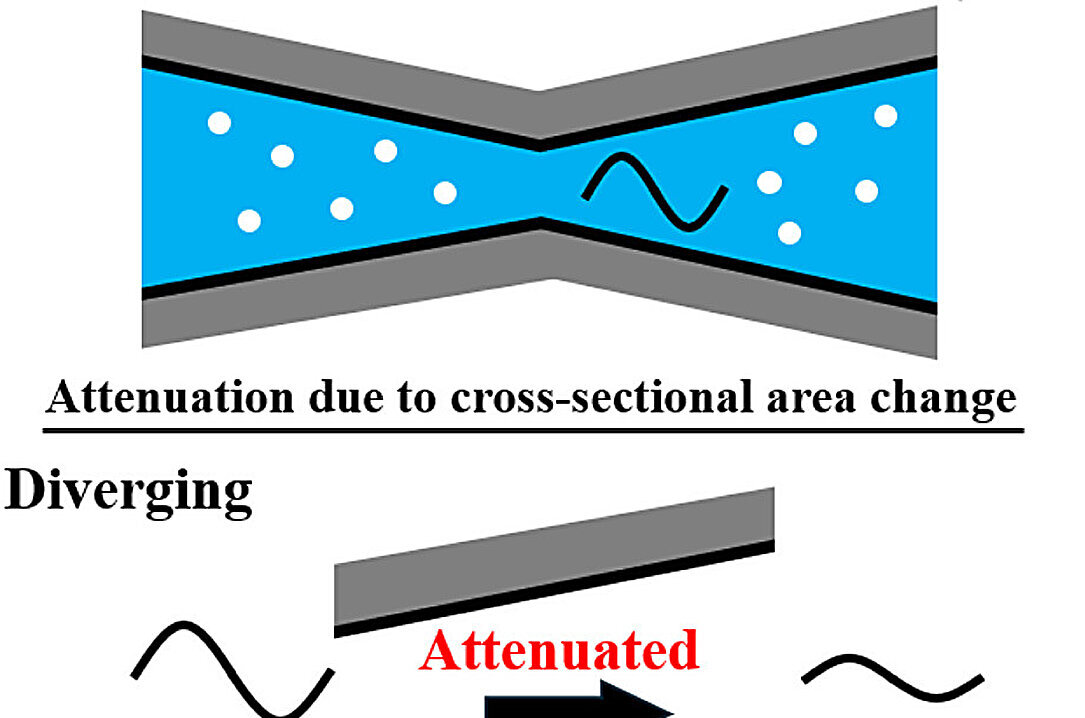 Cross-sectional area variation as a key factor in pressure wave ...