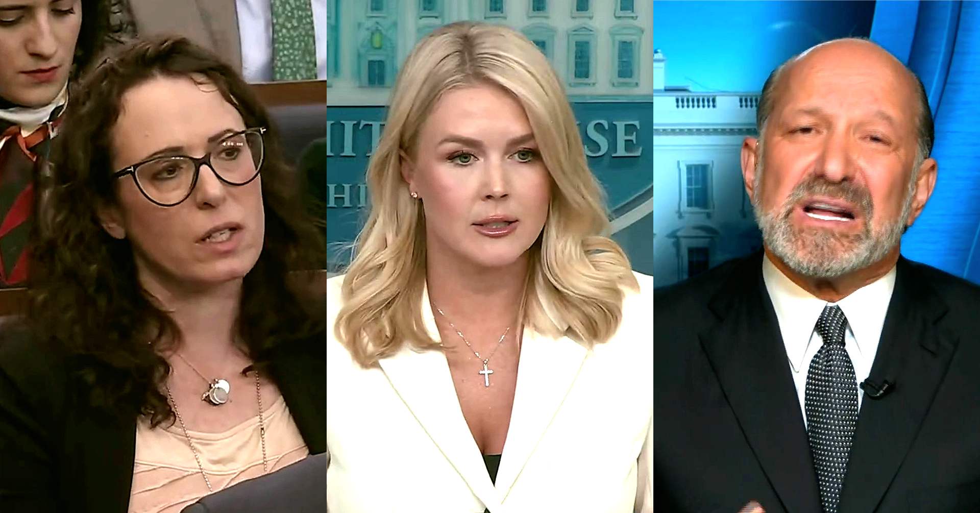 Karoline Leavitt Completely Whiffs Defending Absurd Premise Based on ...