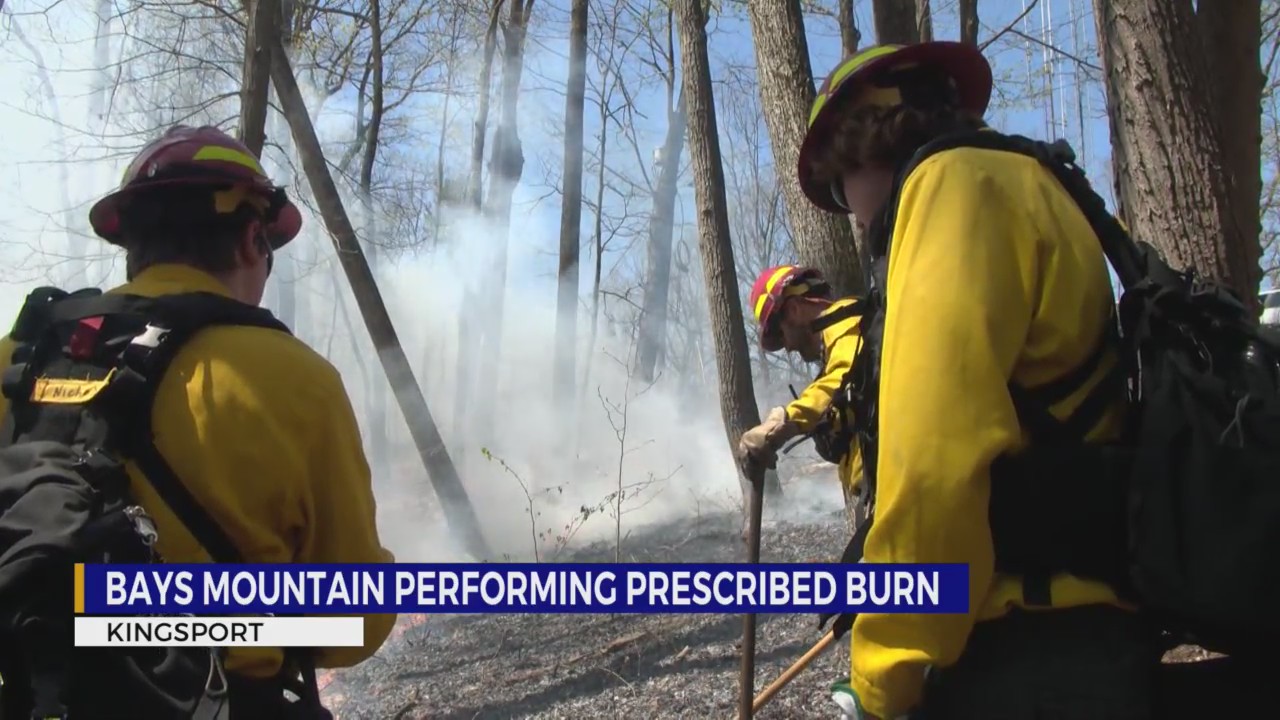 Bays Mountain prescribed burn to prevent future forest fires