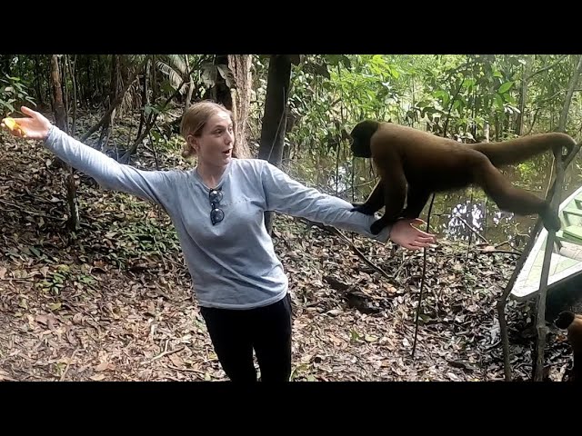 Encountering monkeys and other crazy wild animals in the middle of the ...