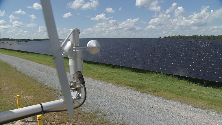 Agriculture Committee weighs N.C. bill to disincentivize solar on farmland