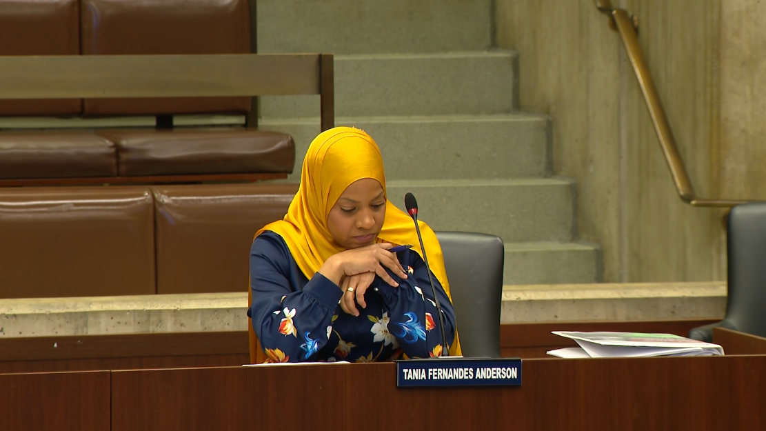 Boston City Council holds first meeting after Tania Fernandes Anderson ...