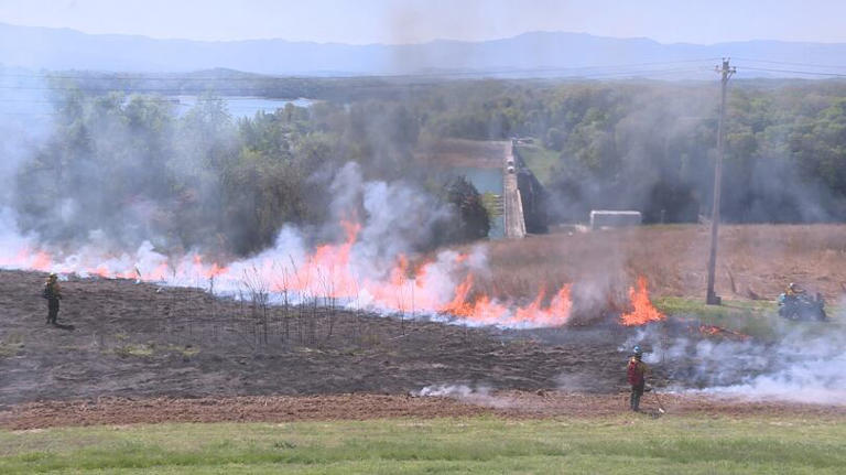 ‘A classic example of Mother Nature’ | TVA’s annual controlled burn ...