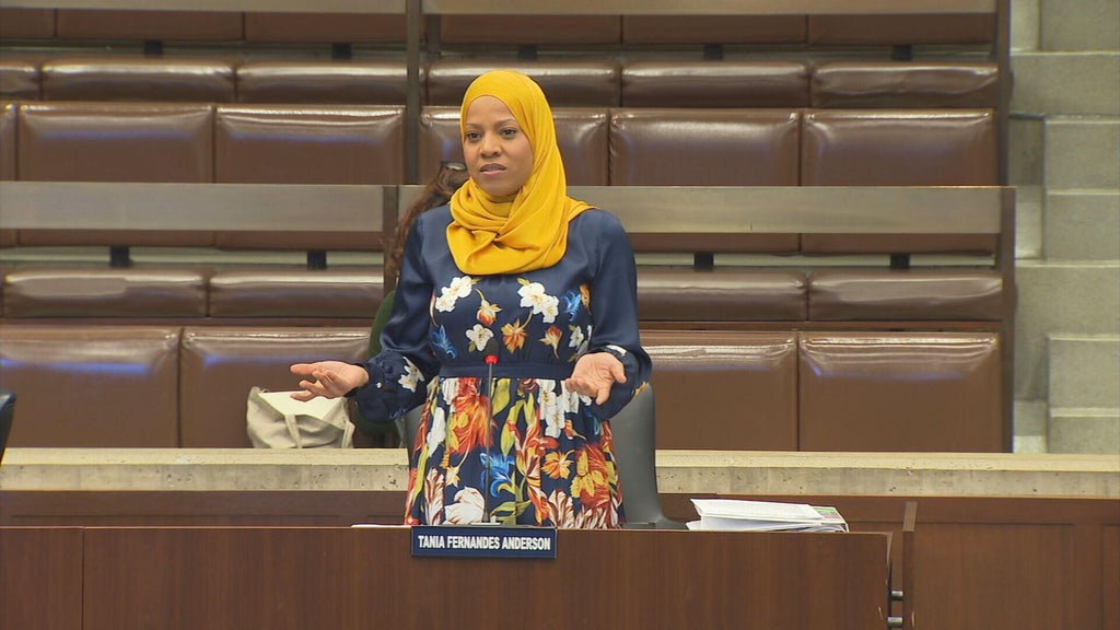 Tania Fernandes Anderson attends first Boston City Council hearing ...