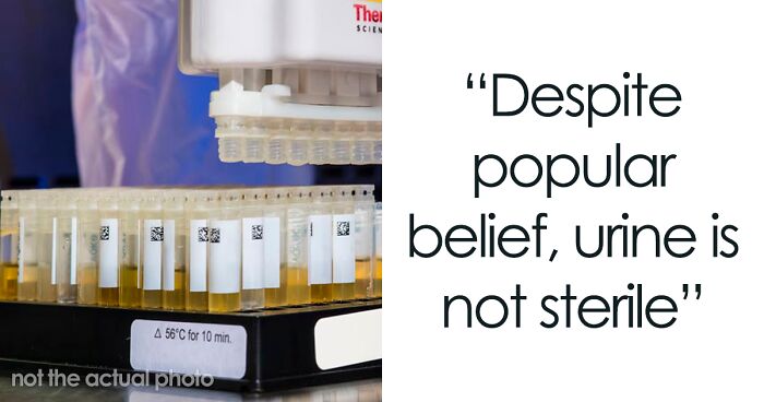 Someone Asks “What Is A Popular Belief That Has Been Scientifically ...