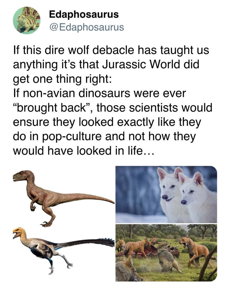 Scientists Just Brought Back Two Dire Wolf Puppies, A Species That Went ...