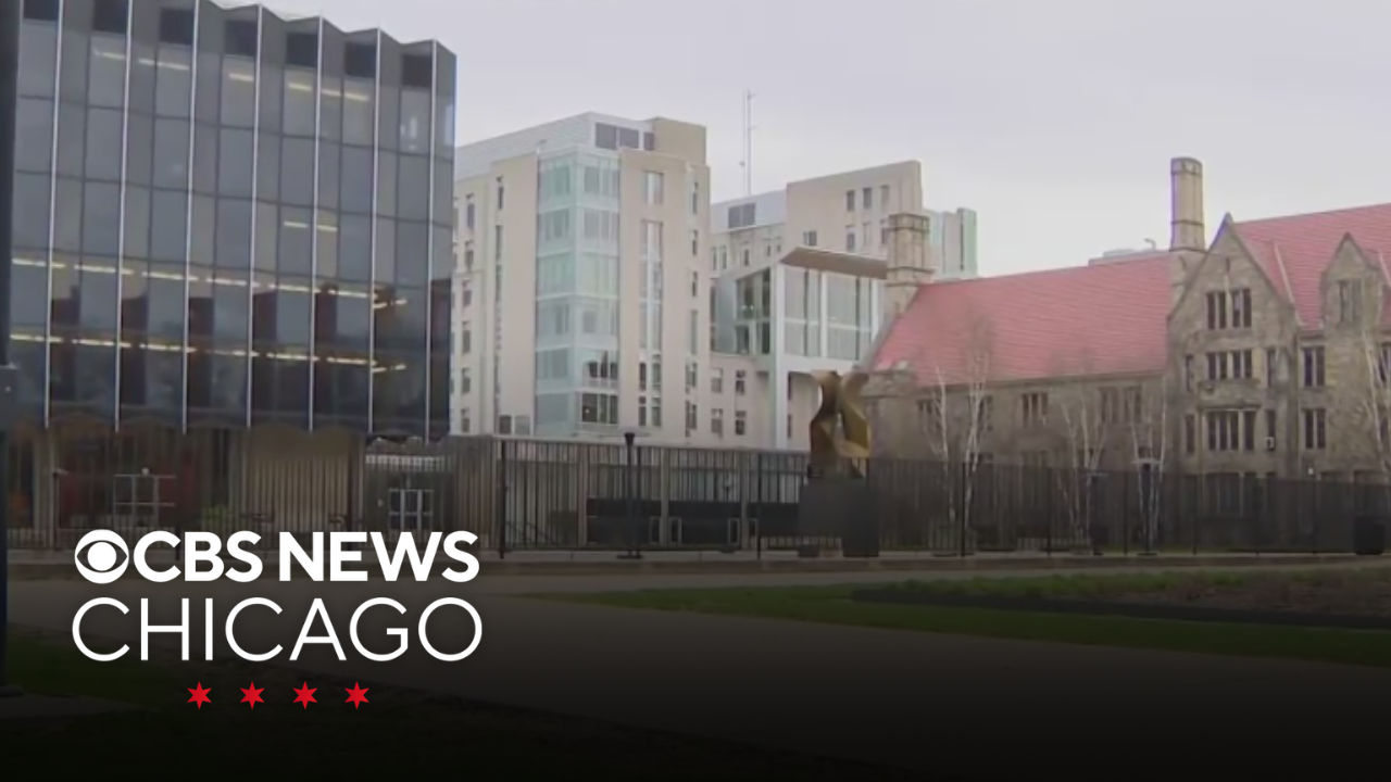 7 University of Chicago students' visas revoked