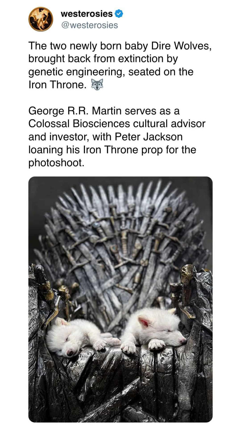 Scientists Just Brought Back Two Dire Wolf Puppies, A Species That Went ...