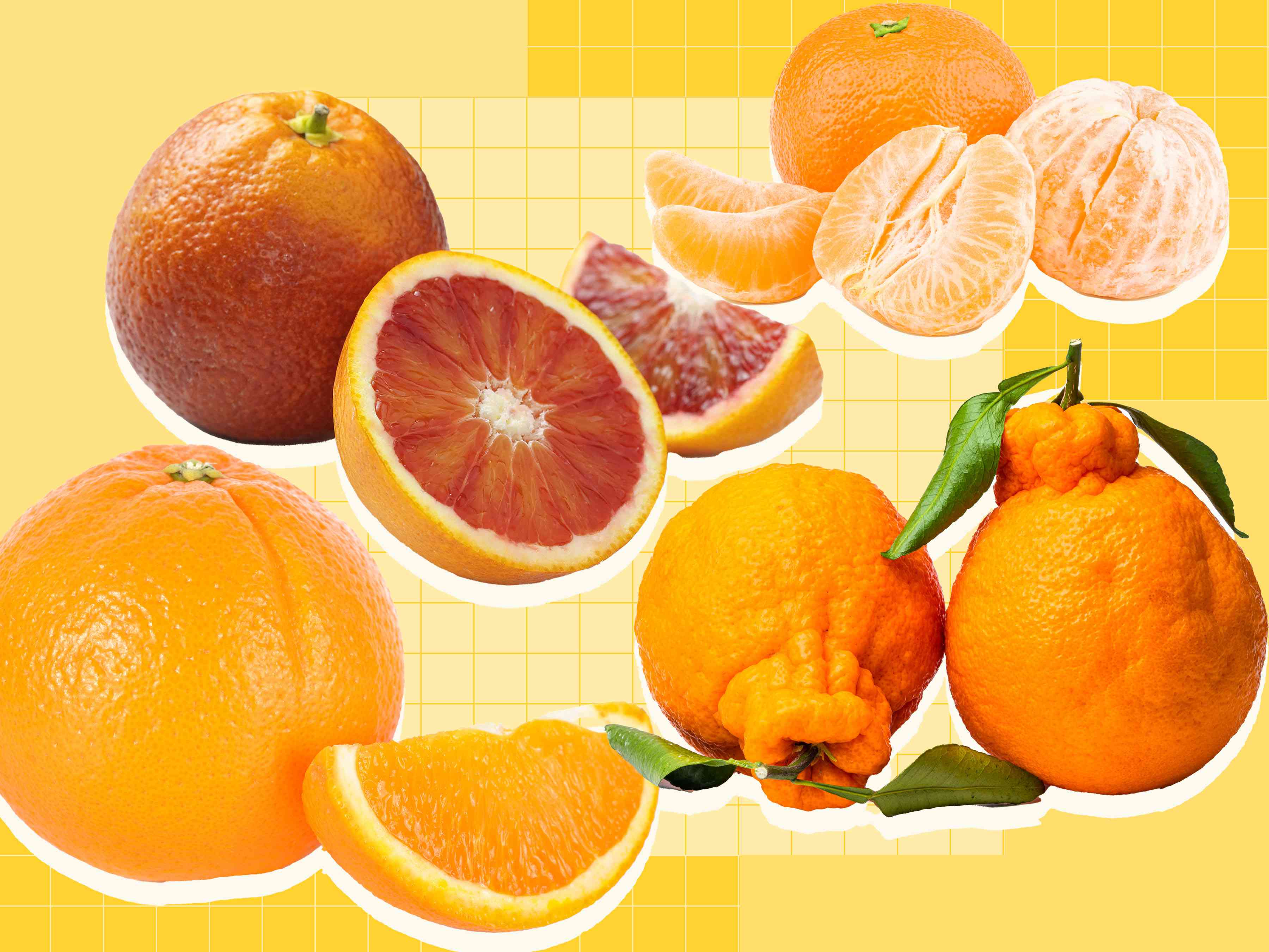 Exploring the Sweet World of Oranges: How to Choose and Use 9 Popular ...