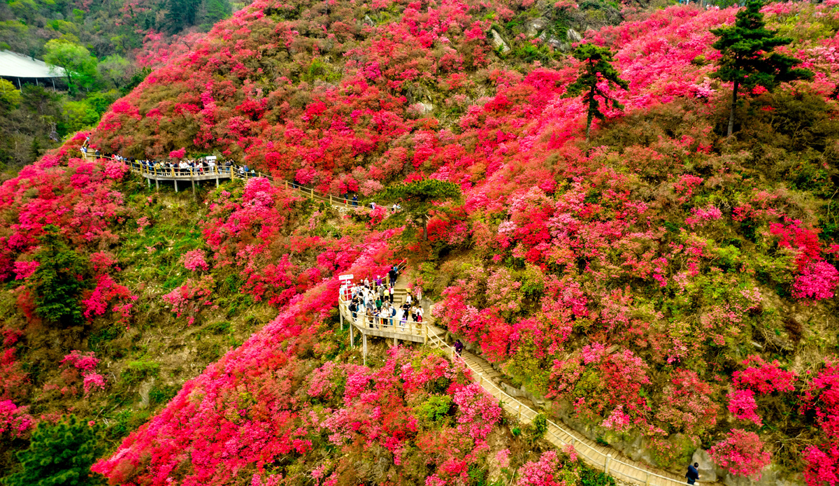 The Colors of Spring