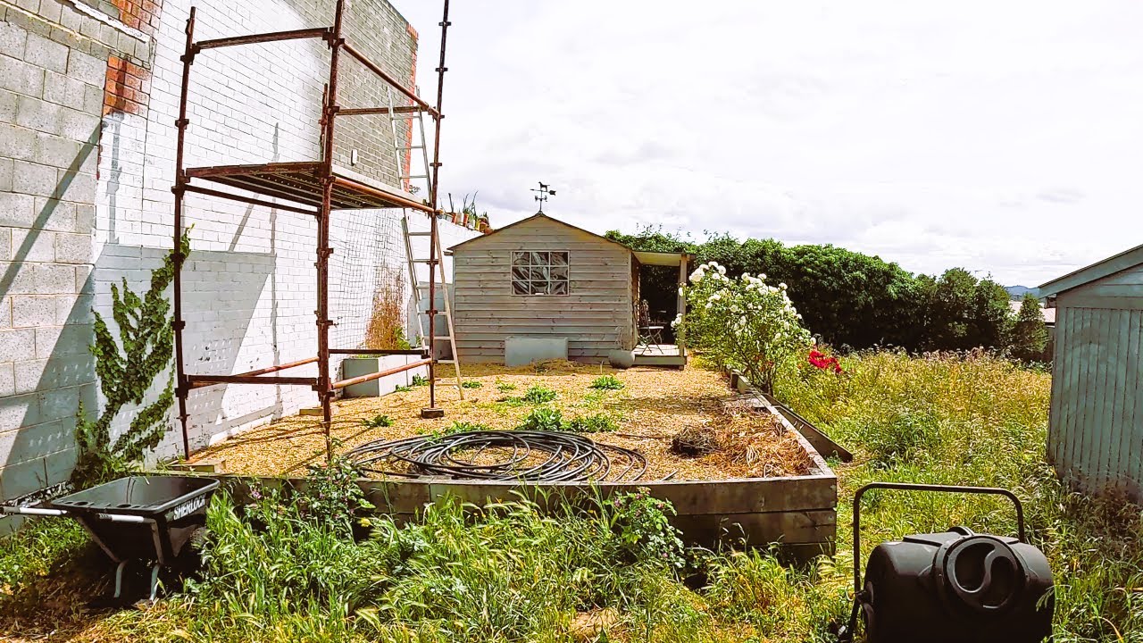 This is what happens when you don't take care of your Yard!