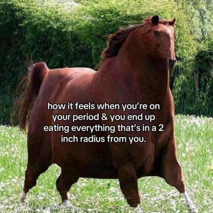 21 Random But Accurate Memes That Almost All Of Us Can Relate To Them