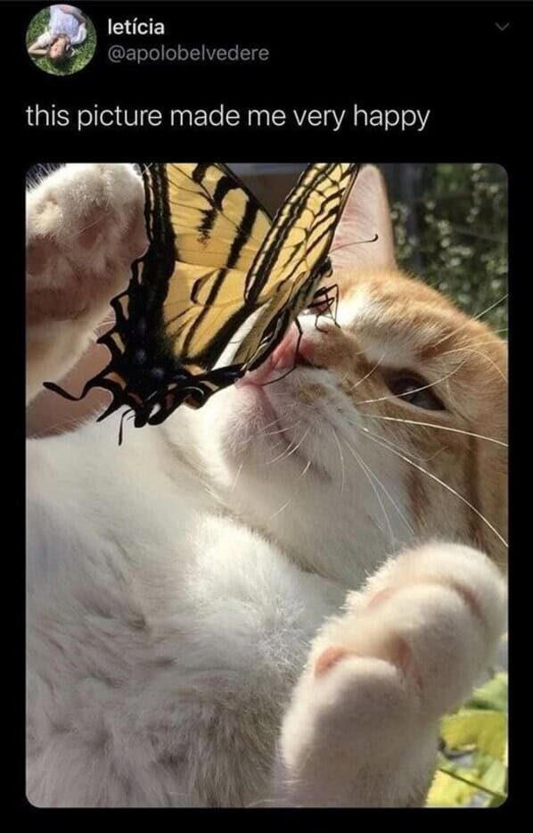 40 Wholesome Memes To Make Your Day A Little Brighter (April 9, 2025)