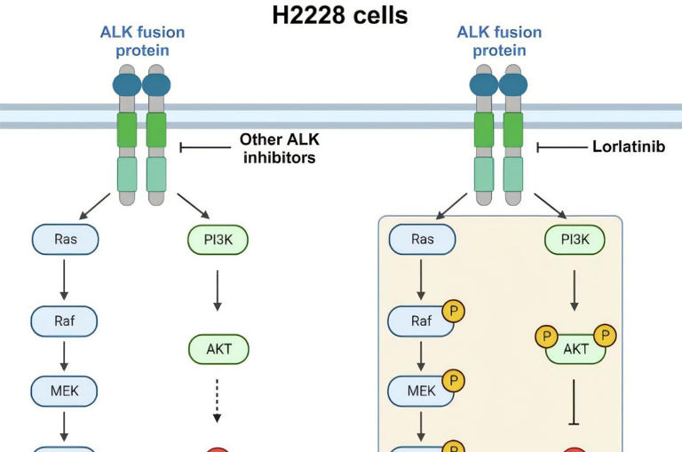 Dynamic profiling technique offers personalized approach to lung cancer ...