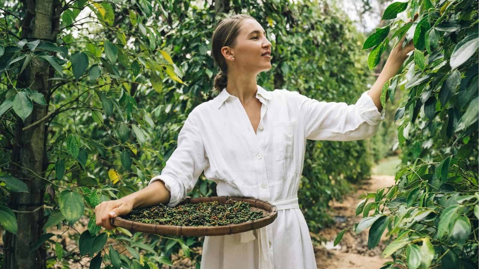 Need a Quick Harvest? Grow These 11 Vegetables