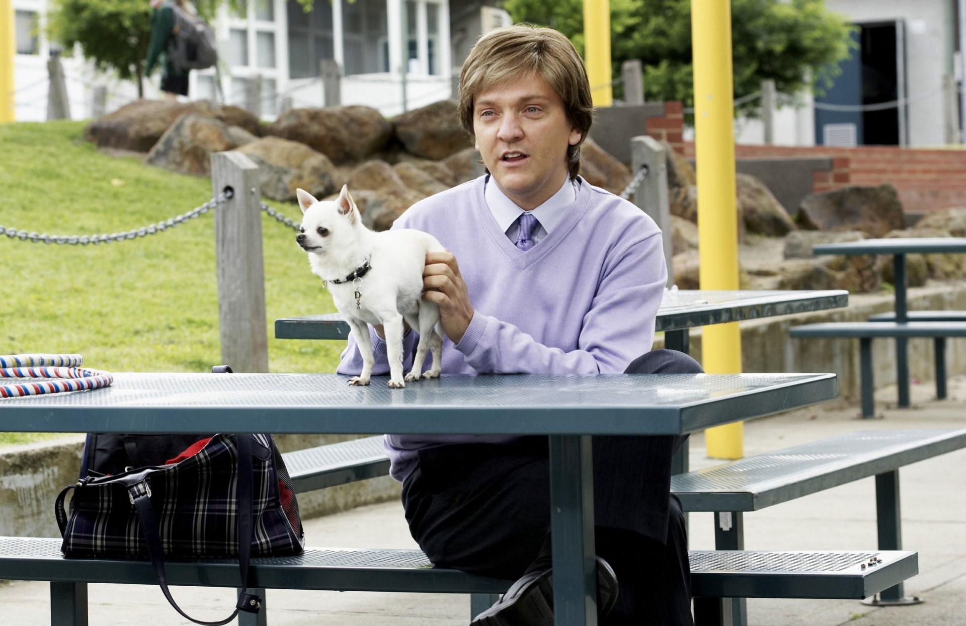 TV viewers declare 'our dreams came true' as icon returns after 18 years