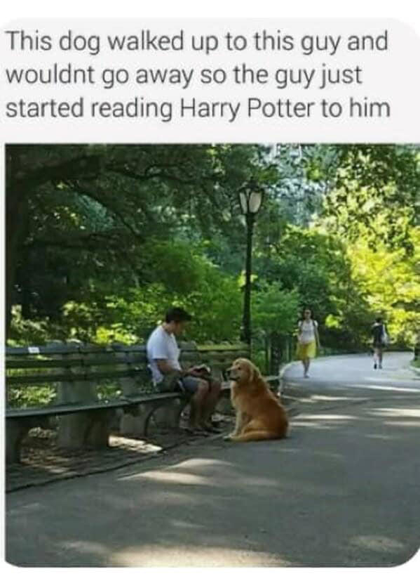 40 Wholesome Memes To Make Your Day A Little Brighter (April 9, 2025)