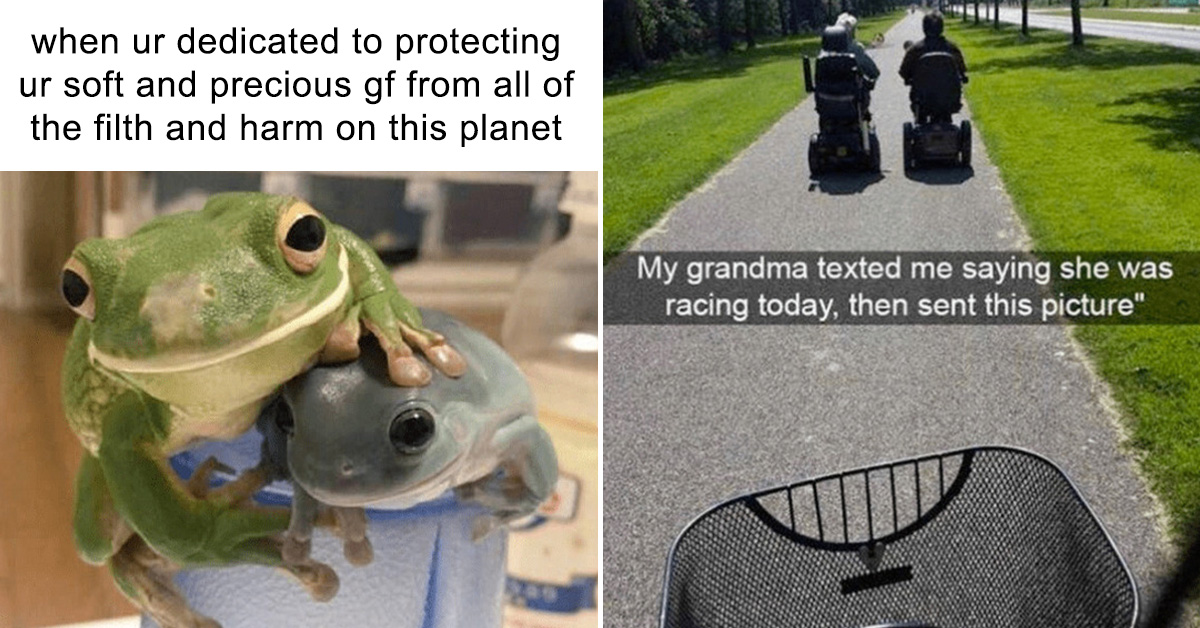 40 Wholesome Memes To Make Your Day A Little Brighter (April 9, 2025)