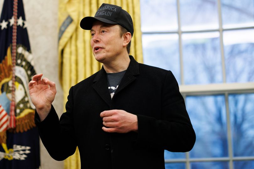 Social media revives campaign to flood ICE tipline to arrest Musk