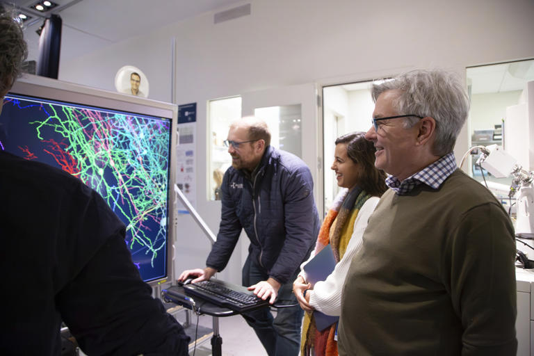 Scientists map part of a mouse's brain that's so complex it looks like ...