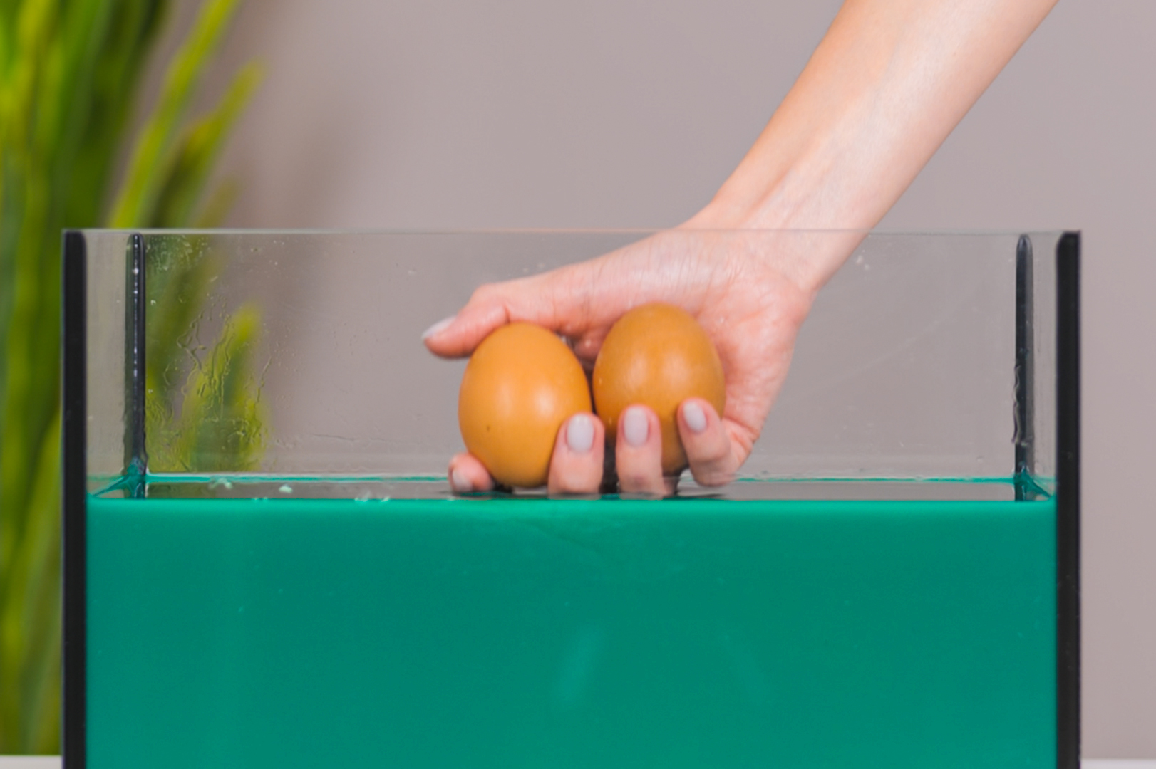 Amazing things made of paraffin, plaster, and alginate 😃